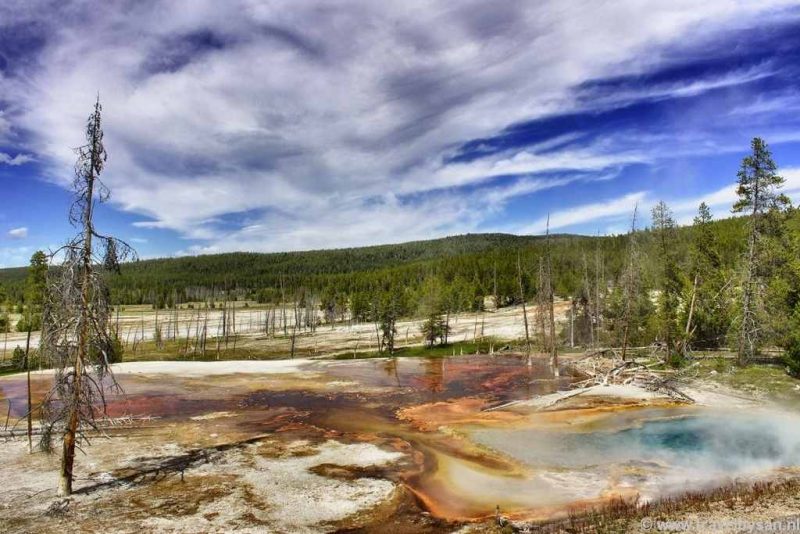 Highlights van Yellowstone National Park - REISJUNK