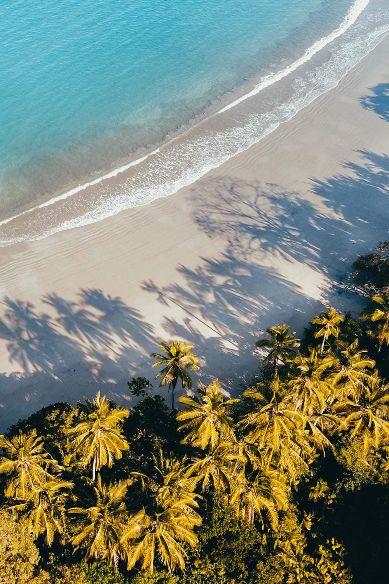 De 5 mooiste stranden van Costa Rica - REISJUNK