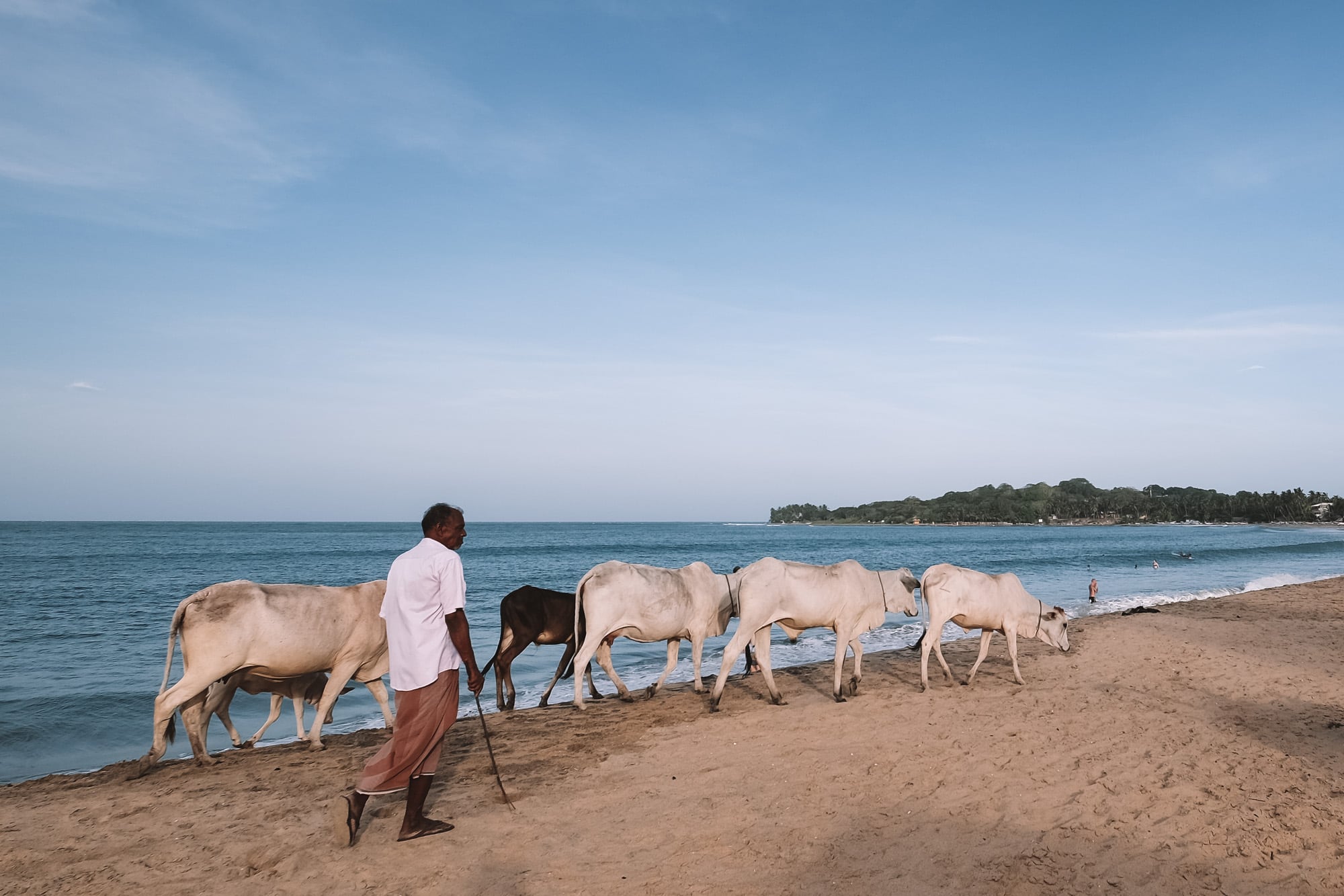 Wat te doen in Arugam Bay? 7 leuke tips! - REISJUNK