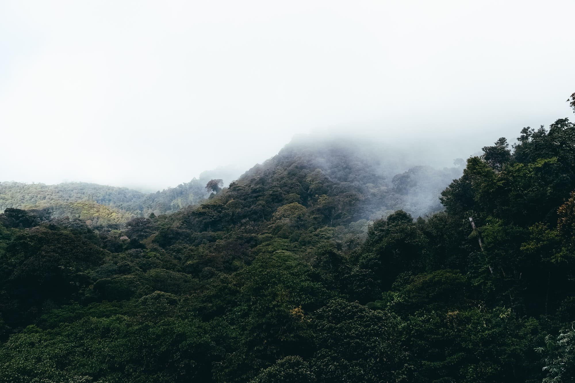 7 Leuke tips voor Monteverde in Costa Rica - REISJUNK