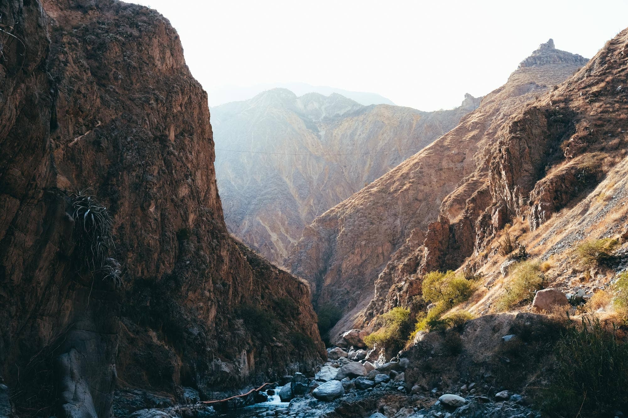 Colca Canyon trekking: 10x wat je vooraf moet weten - REISJUNK