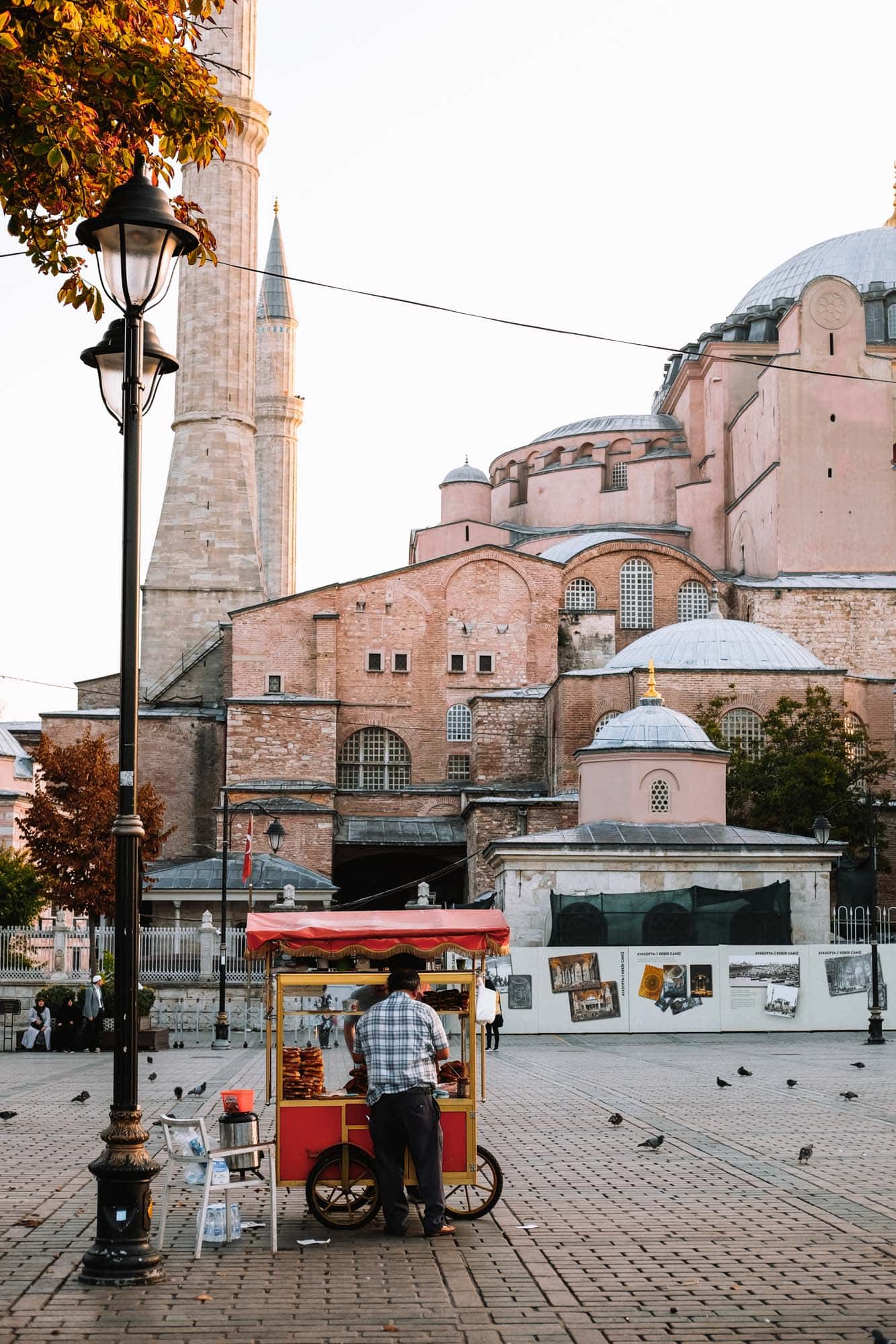 Wat te doen in Istanbul? 10x de leukste tips! - REISJUNK