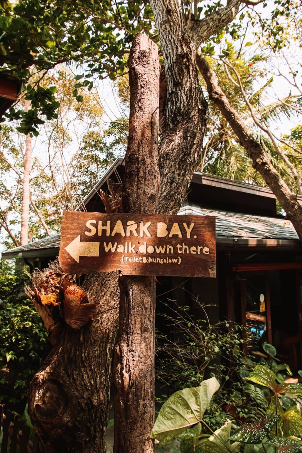 Wat te doen op Koh Tao? Dit zijn de 10 leukste tips! - REISJUNK