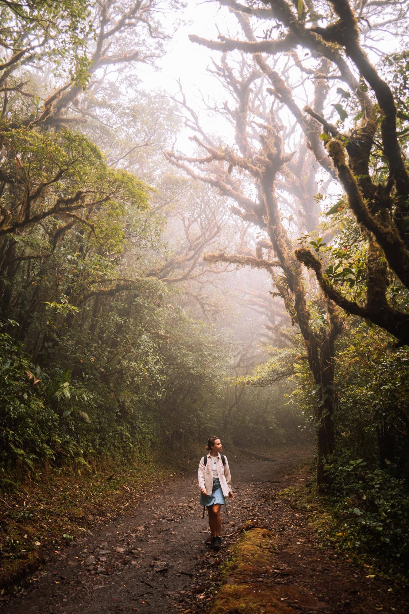 12 Leuke tips voor Monteverde in Costa Rica - REISJUNK